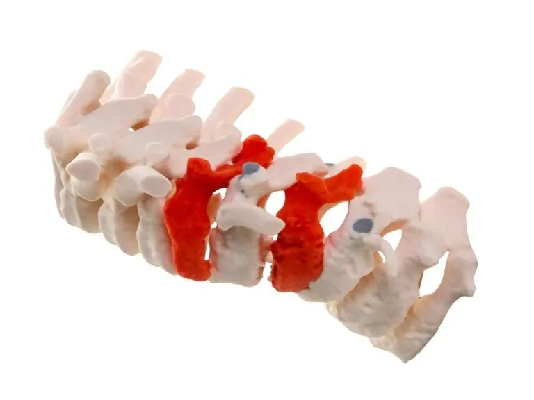 Stratasys J5 Digital Anatomy Medical 3D Printer